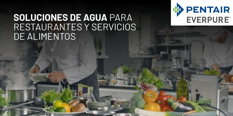 Everpure: La solución líder en agua segura para el sector de servicios ...